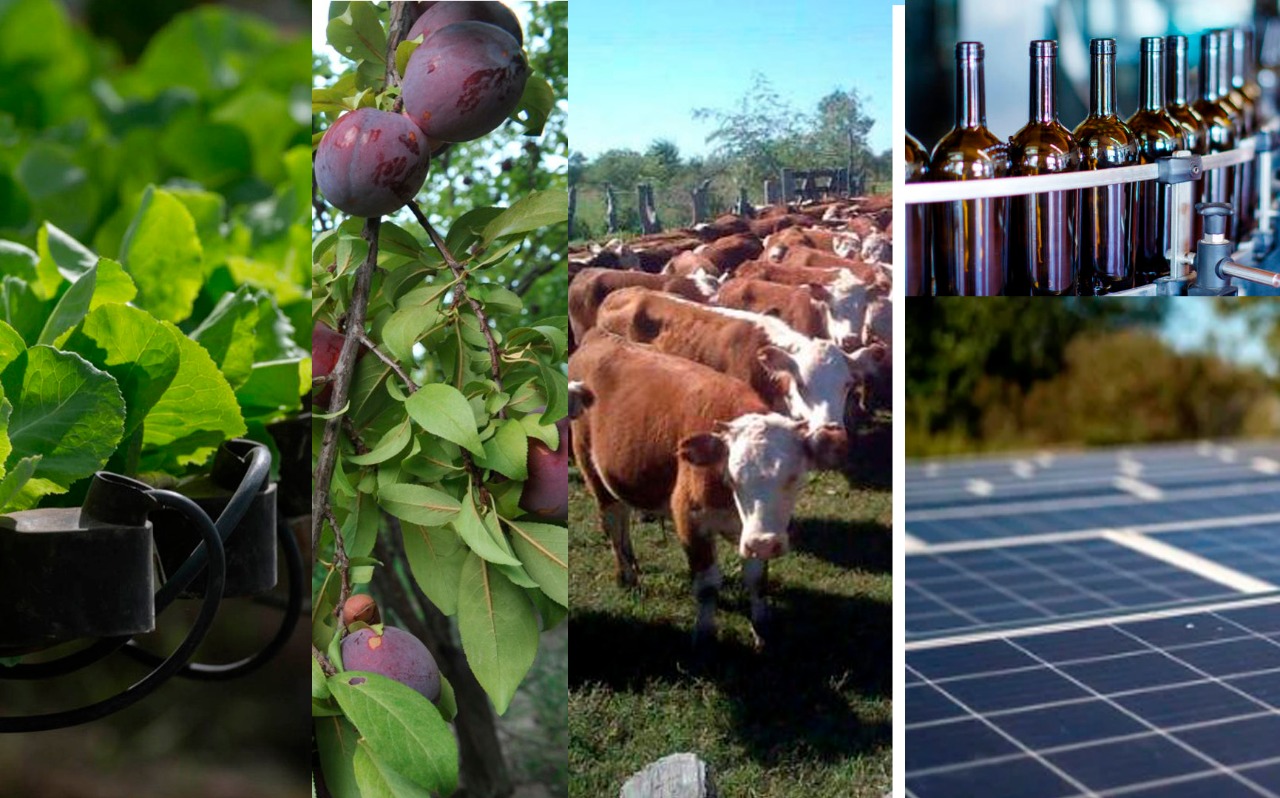 Productores agrícolas, ganaderos e industriales tienen tiempo hasta el ...