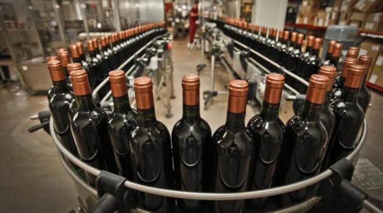 El INV fijó los grados alcohólicos para los vinos de la cosecha 2025 ...